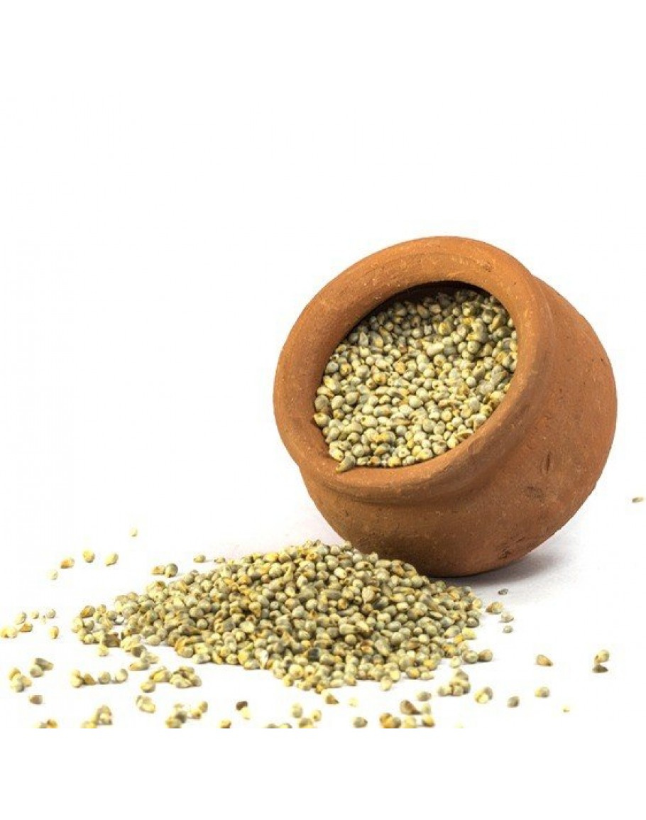 Buy Naati Pearl Millet ( Sajje / Sajjalu / Kambu / Bajra / Kambam ...